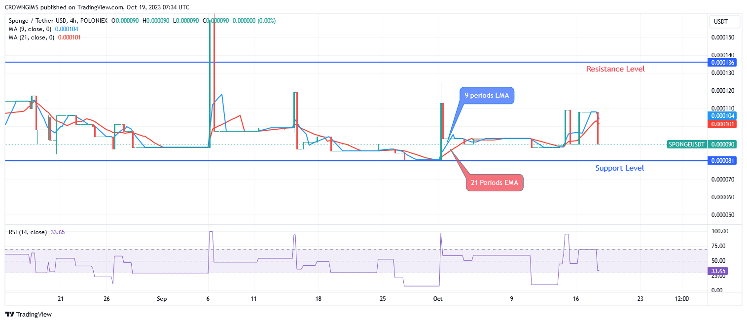 Sponge Price: More Bullish Candles Appear, Price Increases